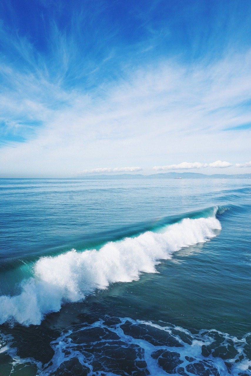 Racing Paddler – Custom Paddle Accessories